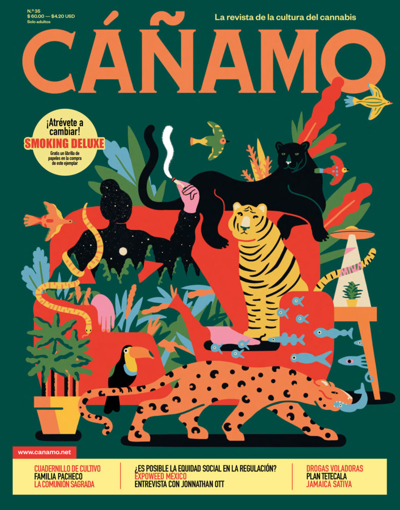 Revista – Revista Cáñamo México
